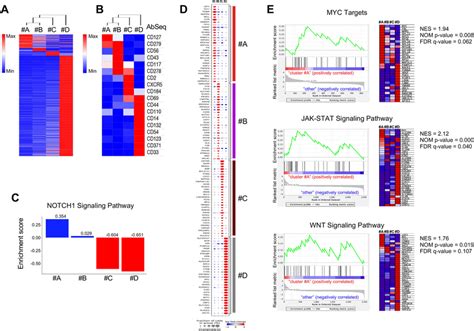 Gene Expression And Immunophenotypic Profiles Displays Known And