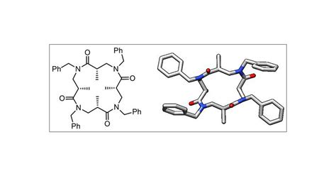 Synthesis And Structural Characterization Of Macrocyclic α Abpeptoids And Their Dna Encoded