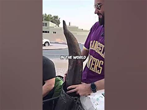 Andrew Tate Gets Whales Dck Youtube