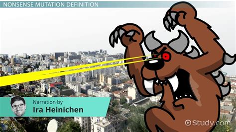 Nonsense Mutation Definition Effect And Examples Lesson