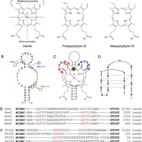 A The Structures Of Hemin Ppix And Mpix B The Predicted Secondary