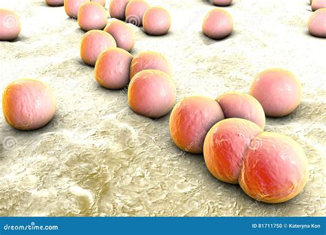 Staphylococci On The Surface Of Skin Stock Illustration Illustration