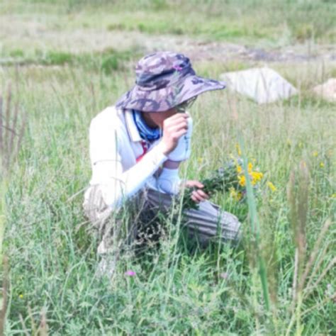 Bo Yang Research Profile