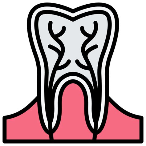 Root Canal Generic Color Lineal Color Icon Root Canal Generic Color Lineal Color Icon