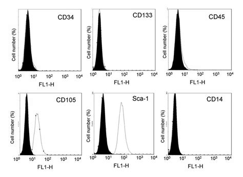 Flow Cytometric Analysis Of Stem Cell Marker Expression On Cultured