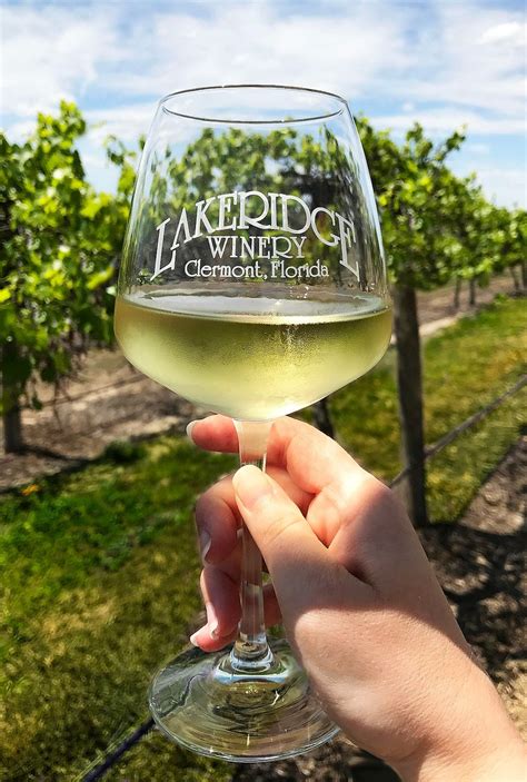 Lakeridge Winery And Vineyards Clermont Fl 42458