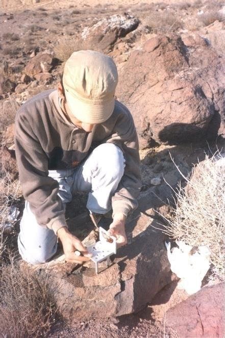 Procedure For Oriented Block Sampling Qs1 Sampling Site Leveled