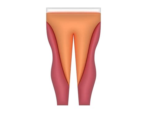 Page 5 Cellulitis Images Free Download On Freepik