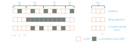 A Comparison Of Different Sparsity Patterns That Occur In The