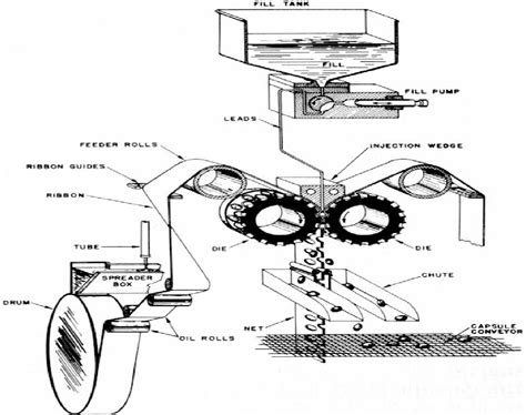 Figure 6 From Formulation And Modifying Drug Release From Hard And Soft