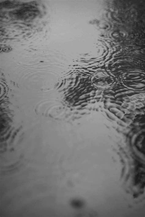 Passion Creates Progress Ali Gordon