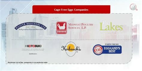 Cage Free Eggs Companies Market Research Future