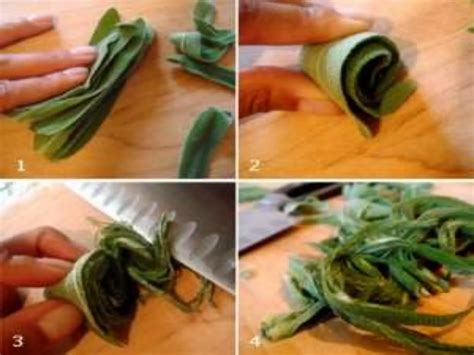 Basic Cutting Techniques Pptx