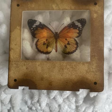 Huge Specimen Slide Kit Entomology And Botanical Digital Kit Specimen