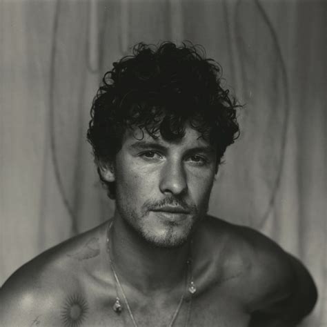 Heart Of Gold Shawn Mendes Wiki Fandom