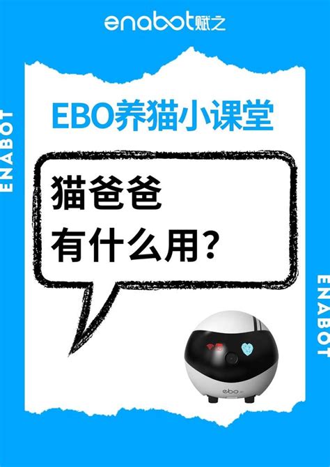 Ebo宠物小课堂猫爸爸有什么用？ 知乎