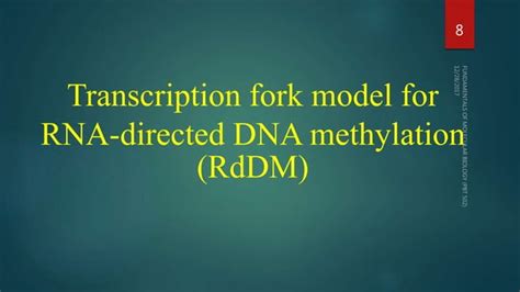 Rna Directed Dna Methylation Rddm Pptx
