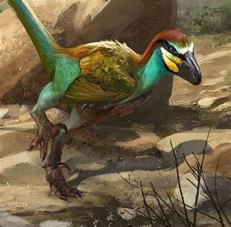 Linheraptor