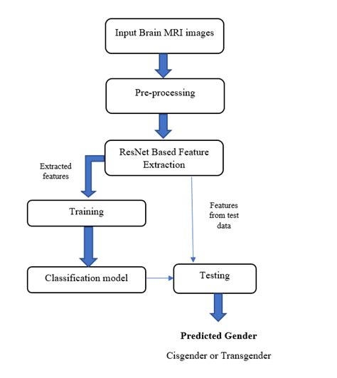 Neuroimaging Based Classification Of Cisgender And Transgender