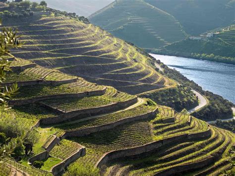 Douro River Properties At Charles Bolden Blog