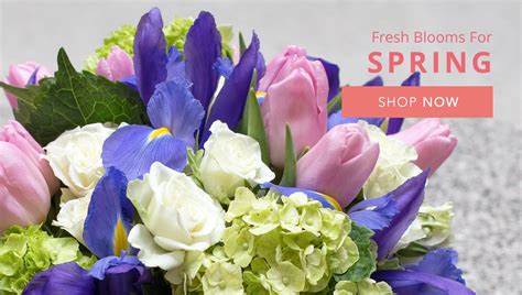 Irvine Florist Flower Delivery By Irvine Village Flowers
