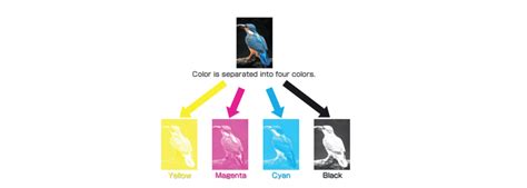 Packaging Prepress Imaging4u