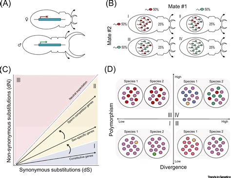 Reproductive Selection