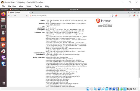 Upgrade From Chromium 113 0 5672 77 To Chromium 113 0 5672 92 · Issue 30209 · Brave Brave