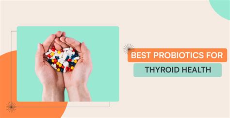 Best Probiotics For Thyroid Health Top Choices For Optimal Health