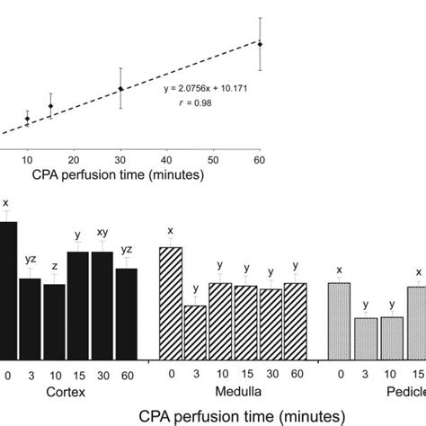 The Cryotip Is A Finely Pulled Straw Designed For Holding Gametes Or