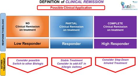 Full Article Sani Clinical Remission Definition A Useful Tool In