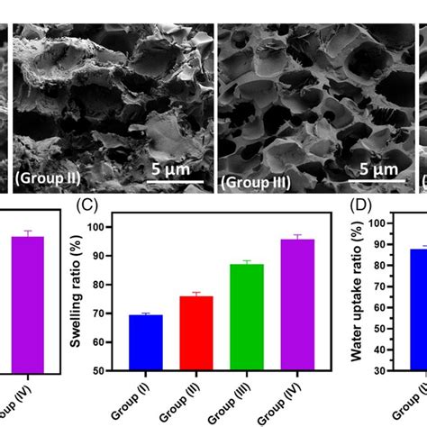 The Morphological And Interconnected Structure Of Prepared Hydrogel