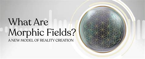 What Are Morphic Fields A New Model Of Reality Creation The Geometry