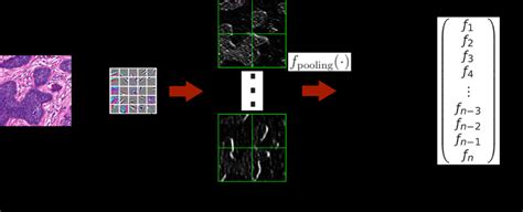 Image Representation Using Convolutional Approach Download