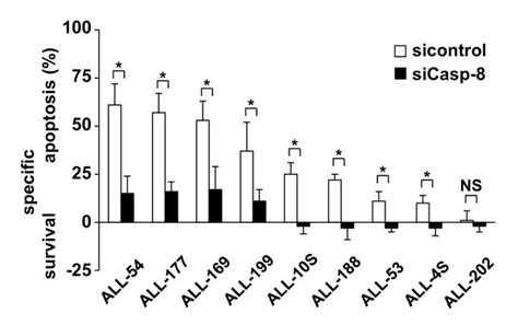 Functional Impact Of The Efficient Sirna Interference N 9 All Cells