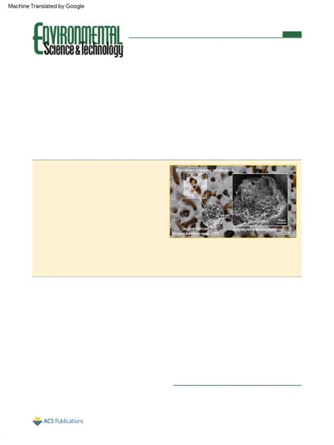 Biodegradation And Mineralization Of Polystyrene By Plastic Eating