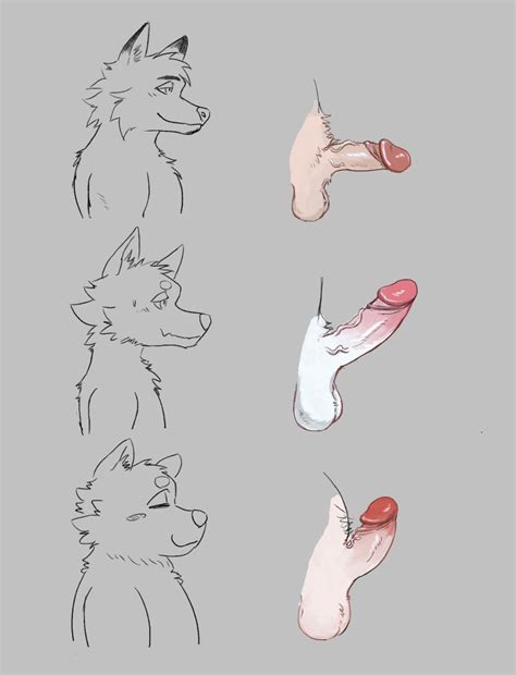Rule 34 Anthro Blush Chart Drdalefox Erection Genitals Group Hi Res