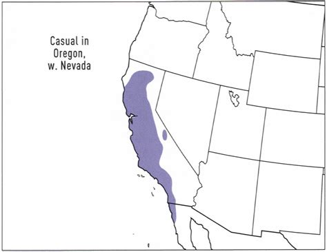 All 22 Woodpeckers In The United States With Pictures And Maps