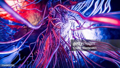 3d Render Of Colorful Glowing Wires High Res Vector Graphic Getty Images