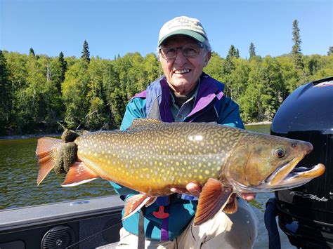 Top Five Lure Presentations For Brook Trout Superior Country
