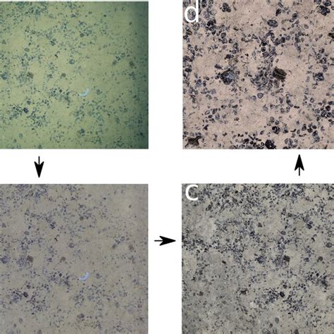 Visualization Of The Transformations Applied To An Example Original