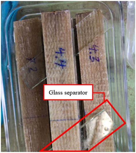 Arrangement Of Specimens Separated By Glass Separators In The Solution