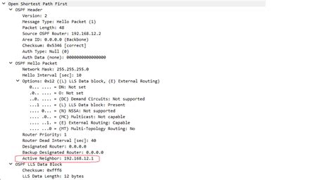 OSPF Hello Packets Deep Dive Network Lessons