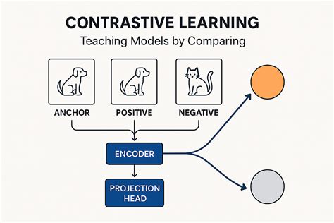 Day 22100 Contrastive Learning — Teaching Models By Comparing By