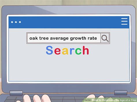 Ways To Determine The Age Of A Tree WikiHow