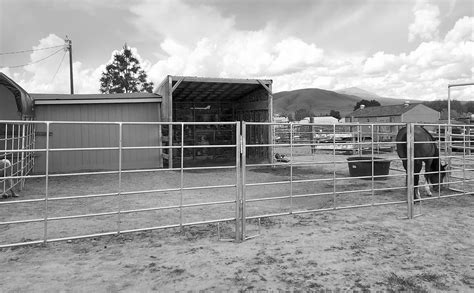 Welcome Mustang Forces