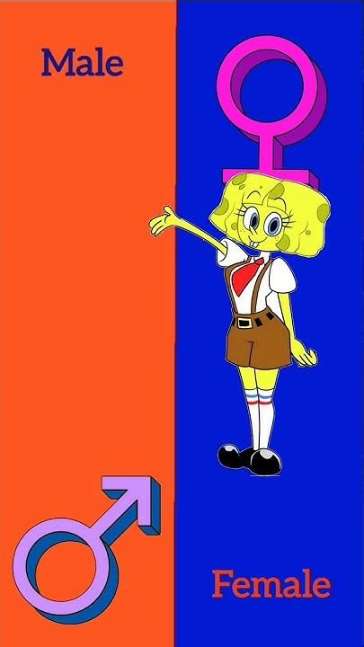 Spongebob Squarepants Gender Swap Edit Vacation Spongebob Shorts