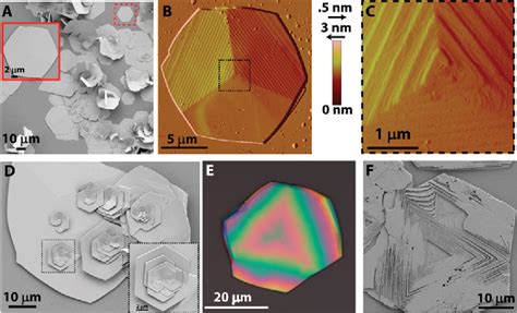 Figure 1 From Screw Dislocation Driven Growth Of Two Dimensional