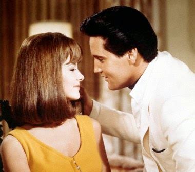 Efemérides Musicales Shelley Fabares