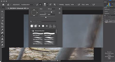 How To Use Photoshops New Adjustment Brush Tool Video Shutterbug